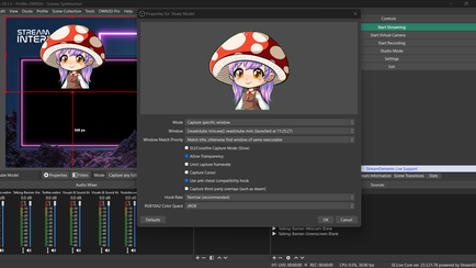 Premium VTube 2D Model Designs for Streamers - OWN3D
