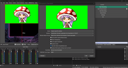 Premium VTube 2D Model Designs for Streamers - OWN3D